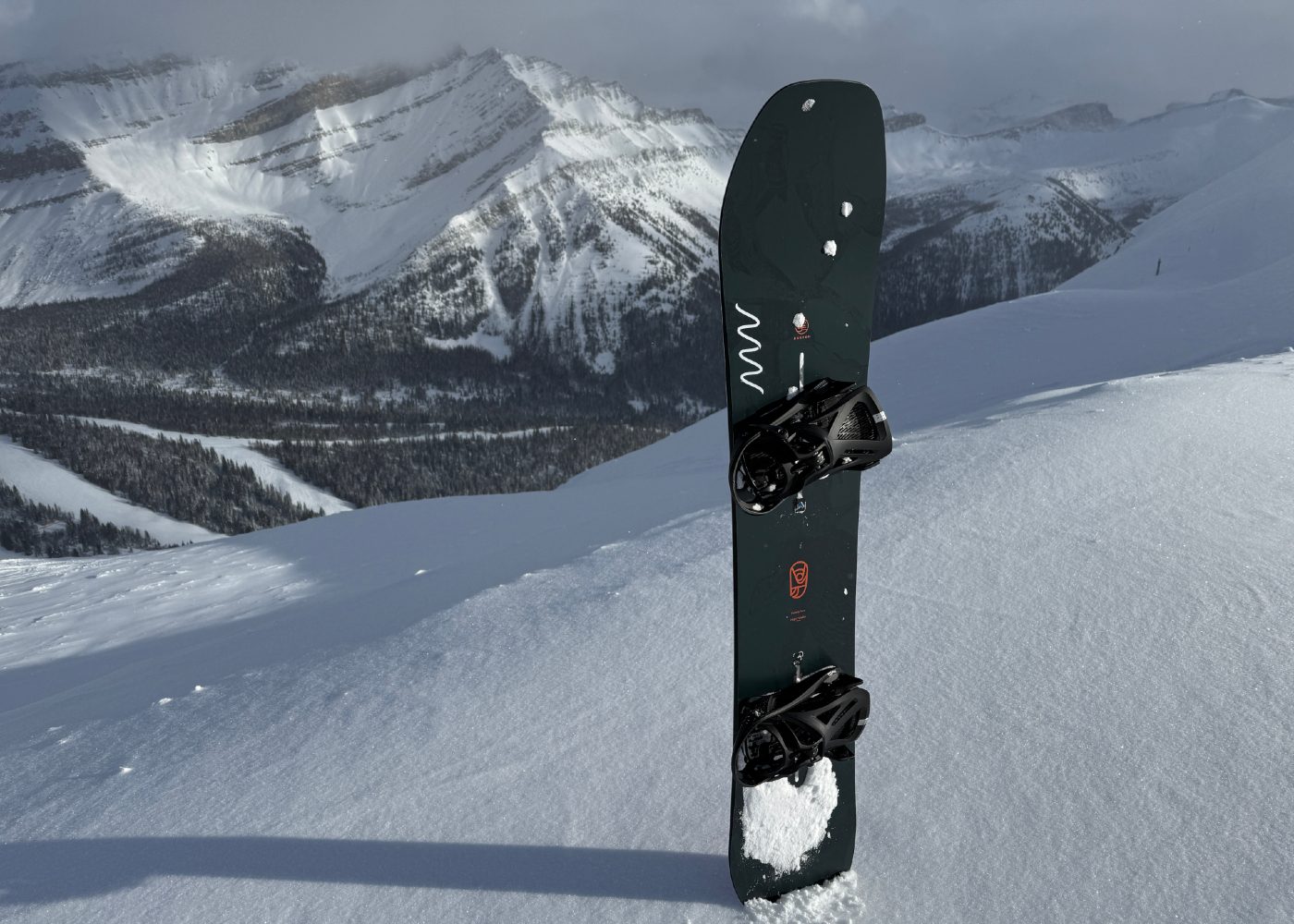 Natural selection DNA: Burton high fidelity snowboard review