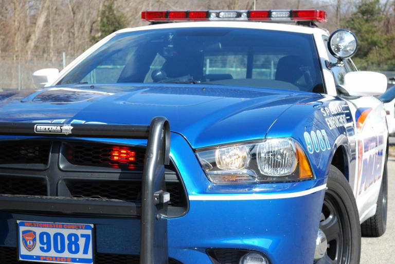 Westchester County cops ready to pounce after teen mob takeover at NYC ...