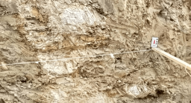 Magnum M&E confirms ionic adsorption clay system at Piracanjuba; rare ...