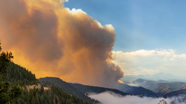 Evacuations underway as rapidly spreading wildfire consumes thousands ...