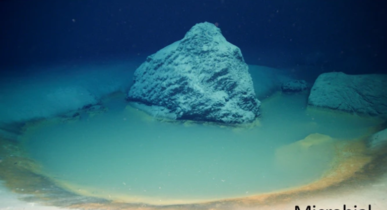 Deep beneath the Red Sea, the Gulf of Aqaba hides a toxic 'ocean within ...