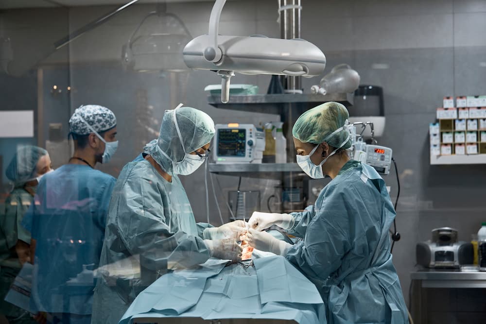 Dog bloat surgery: Cost and what to expect