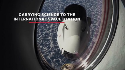 SpaceX CRS-29 mission to space station - science payloads explained