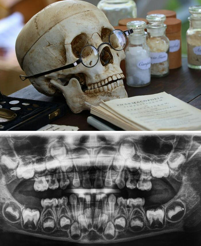 People who work with the dead shared the most traumatizing things they ...