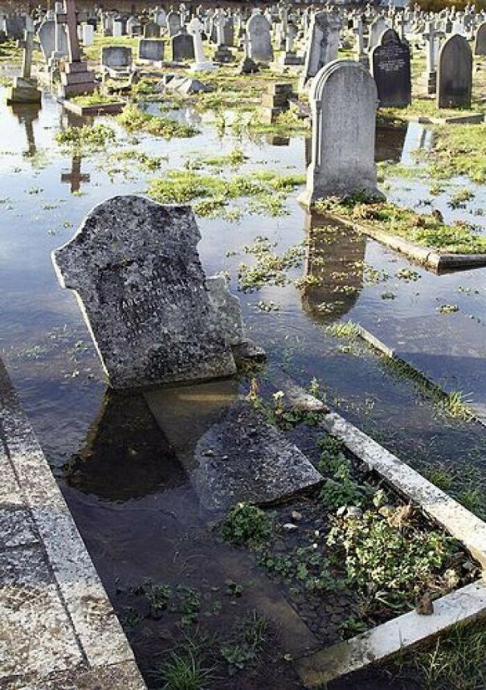 People who work with the dead shared the most traumatizing things they ...