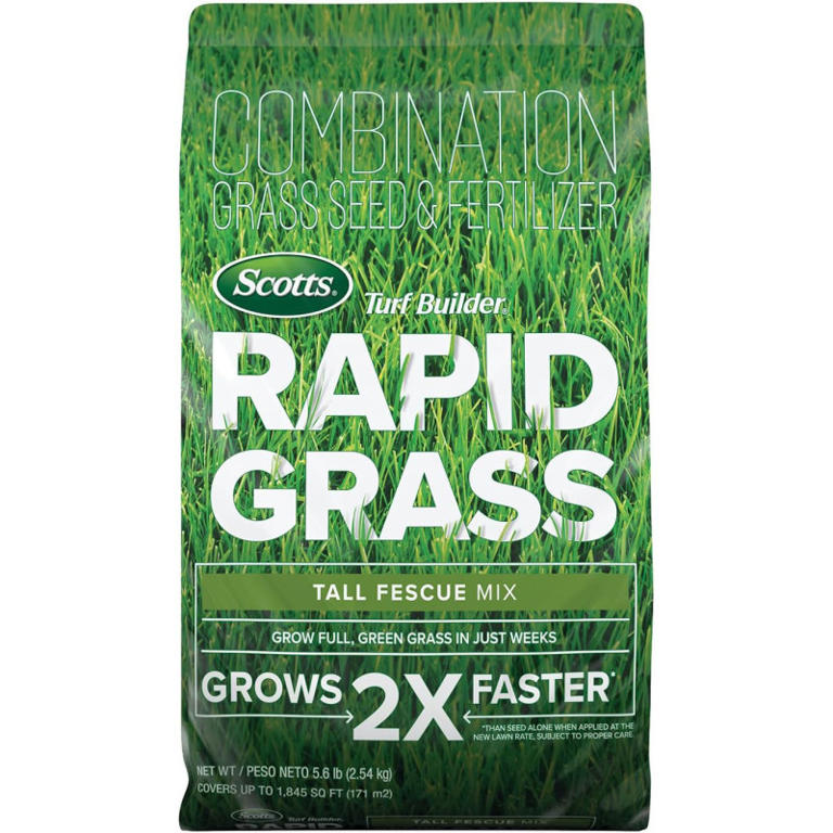 Extraordinary Scotts Tall Fescue Photos