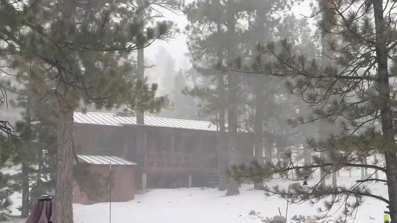 Heavy snowfall, fog, and strong winds create near-blizzard conditions ...