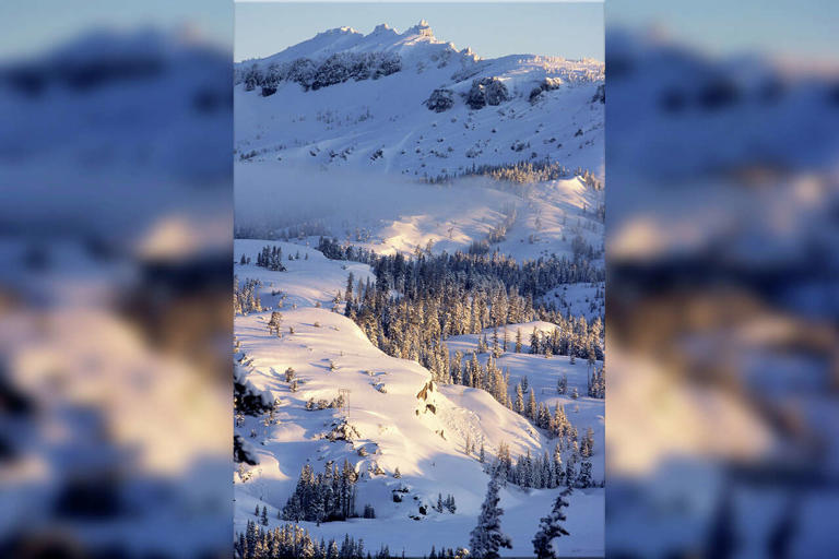 Anger, grief and questions surround the worst avalanche in California ...