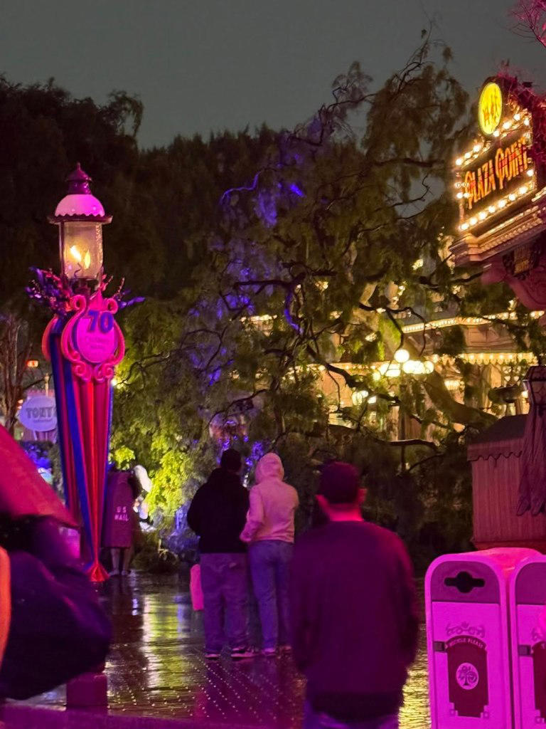 Couple claims a tree fell on them at Disneyland