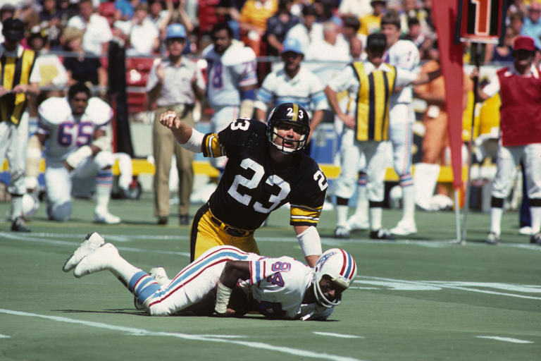 Former Steelers DB Mike Wagner, key part of Steel Curtain dynasty, dies ...