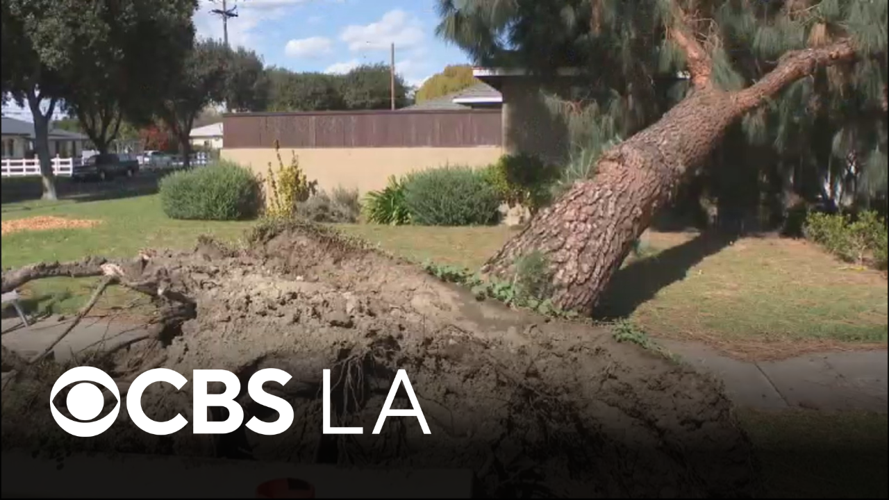 Strong winds topple trees onto Fullerton homes and cars during Southern ...