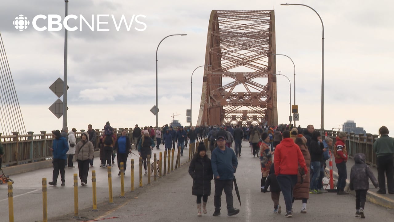 Why viral proposal to save Pattullo Bridge won't happen