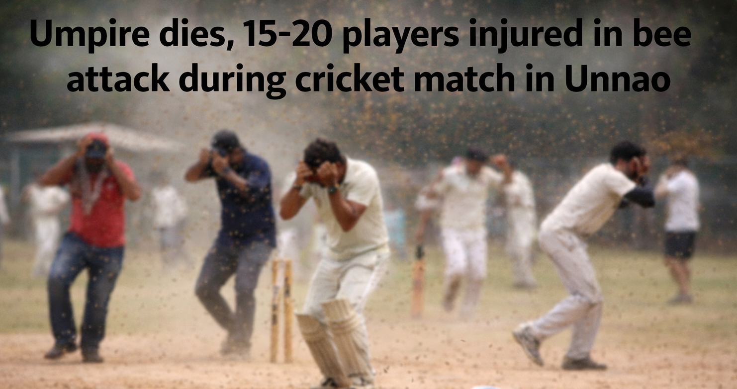 Umpire dies, 15-20 players injured in bee attack during cricket match ...