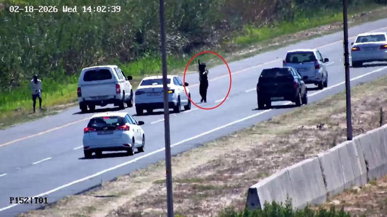 Cape Town's N2 gun scare reignites debate on highway safety