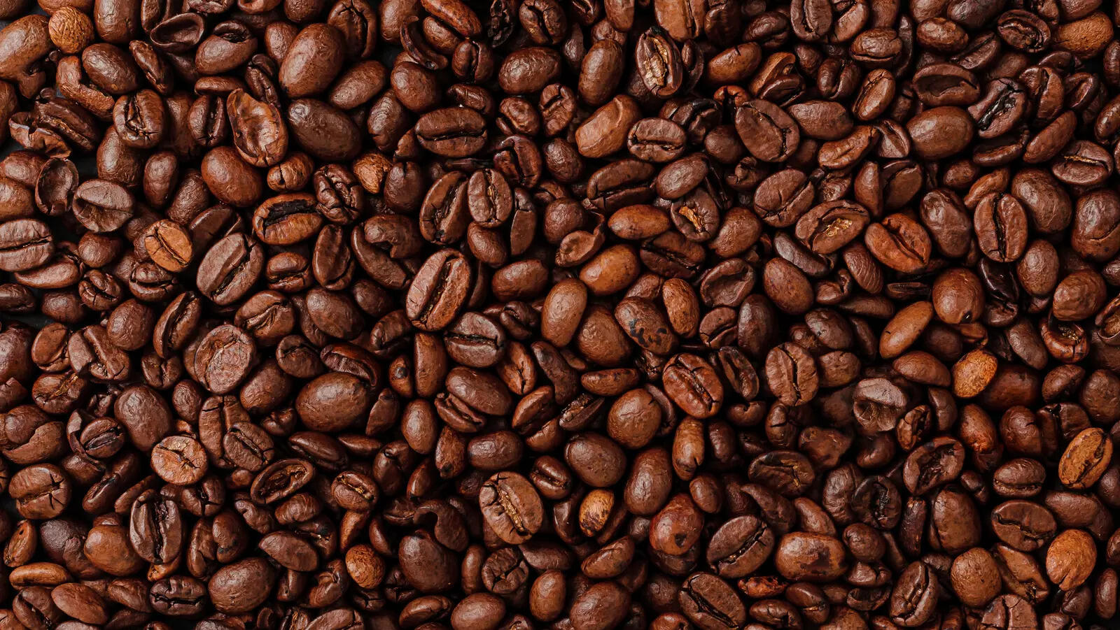 Climate change adversely impacting world's coffee supply, new analysis ...