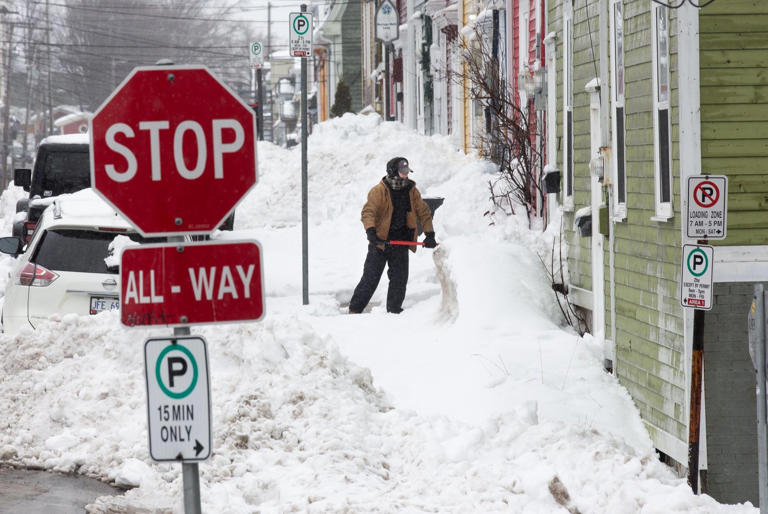 Storm dumps 50 cm of snow on parts of eastern Newfoundland, with more ...