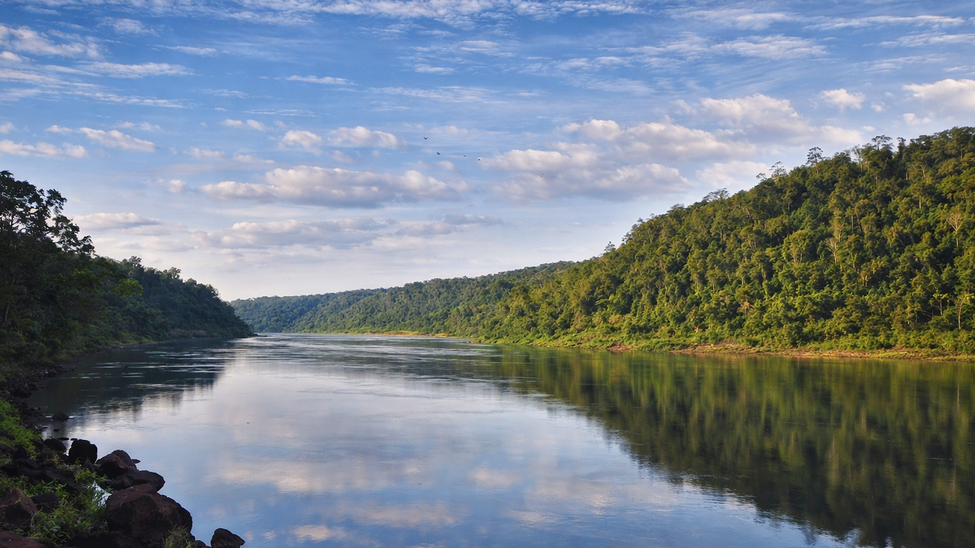 Atlantic forest landscape along Paraná waters