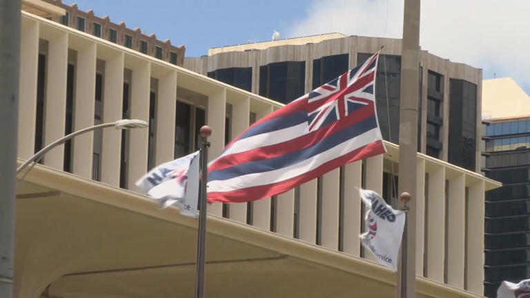 Ban on Hawaiian flag in Ewa community spurs proposal for protections