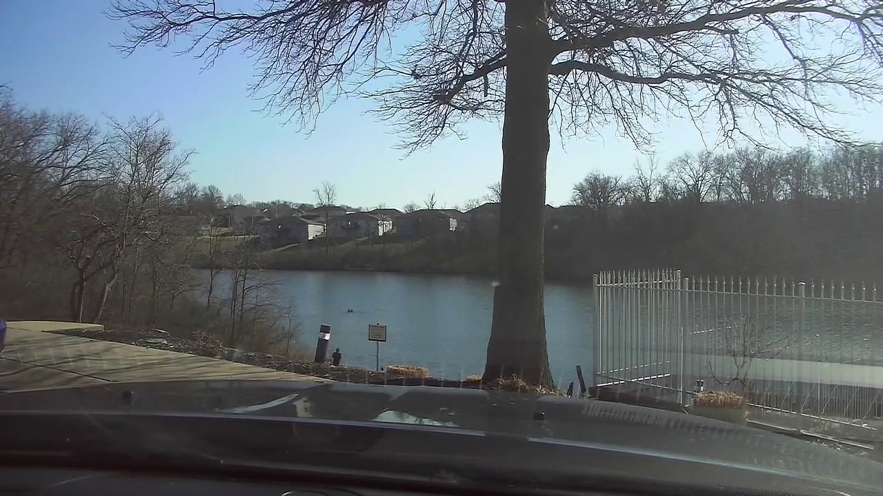 See it: Dramatic video shows law enforcement saving a young woman