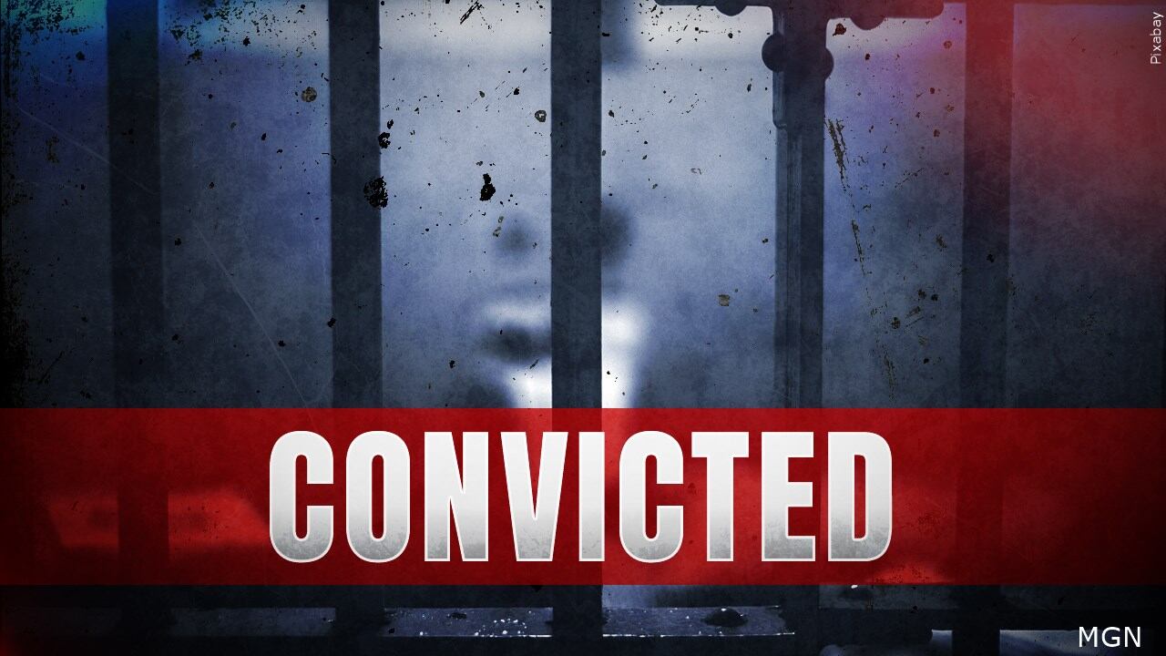 Somerset man convicted in felony timber theft case