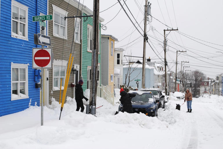 Storm dumps 50 cm of snow on parts of eastern Newfoundland, with more ...