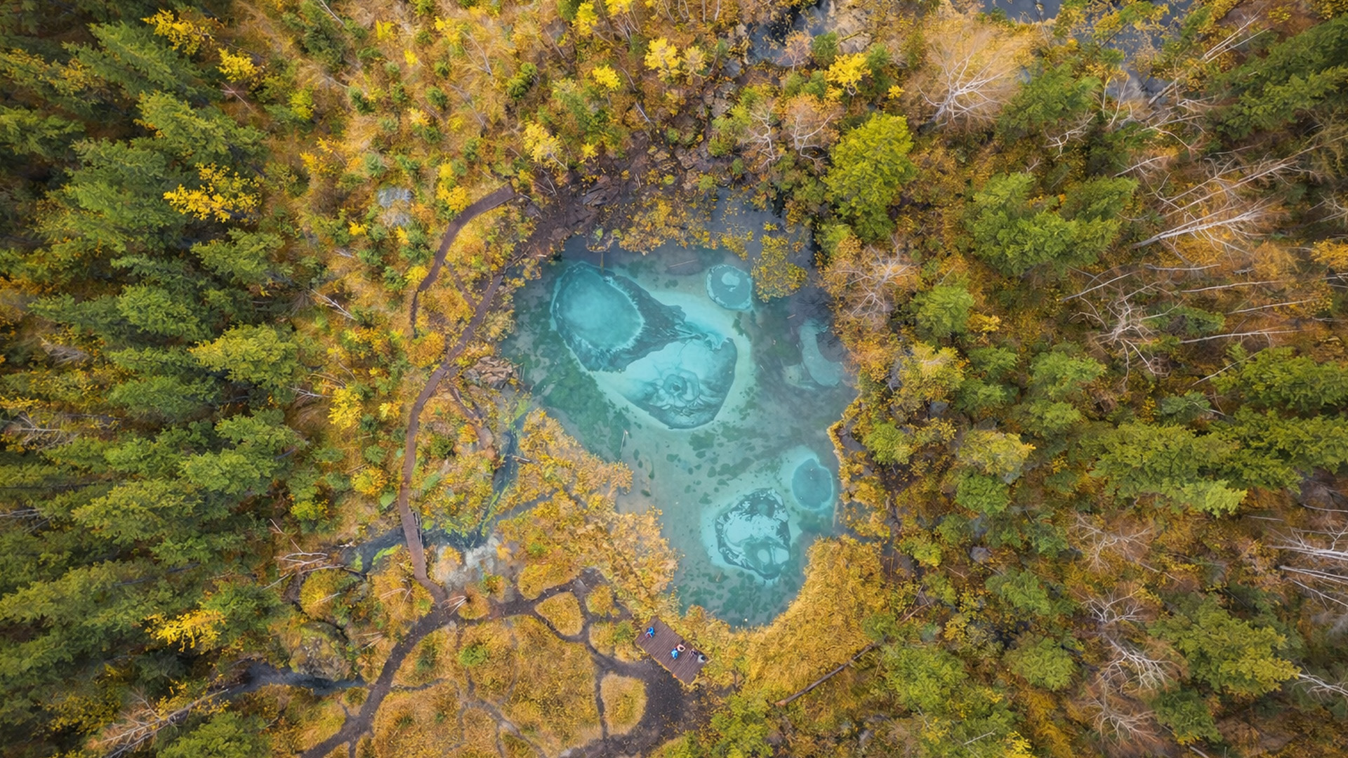 Would you visit this icy coast?
