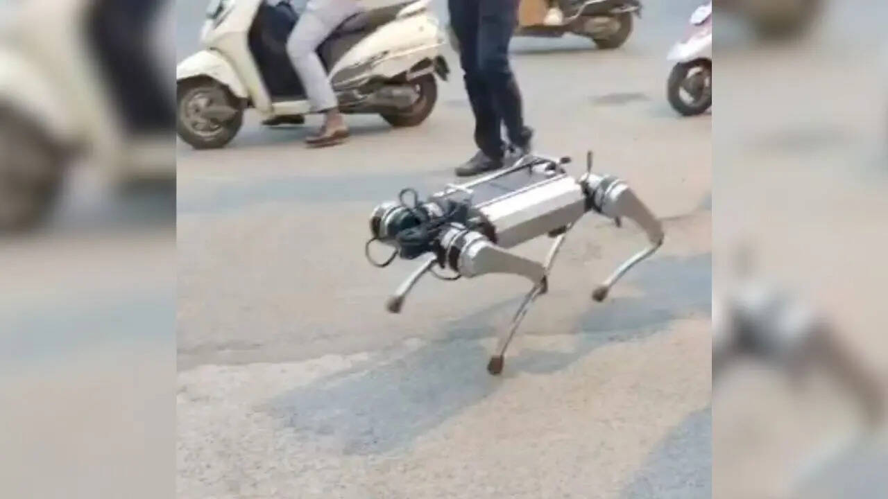 AI Summit 2026: This startup showcases a legit made in India robot dog ...