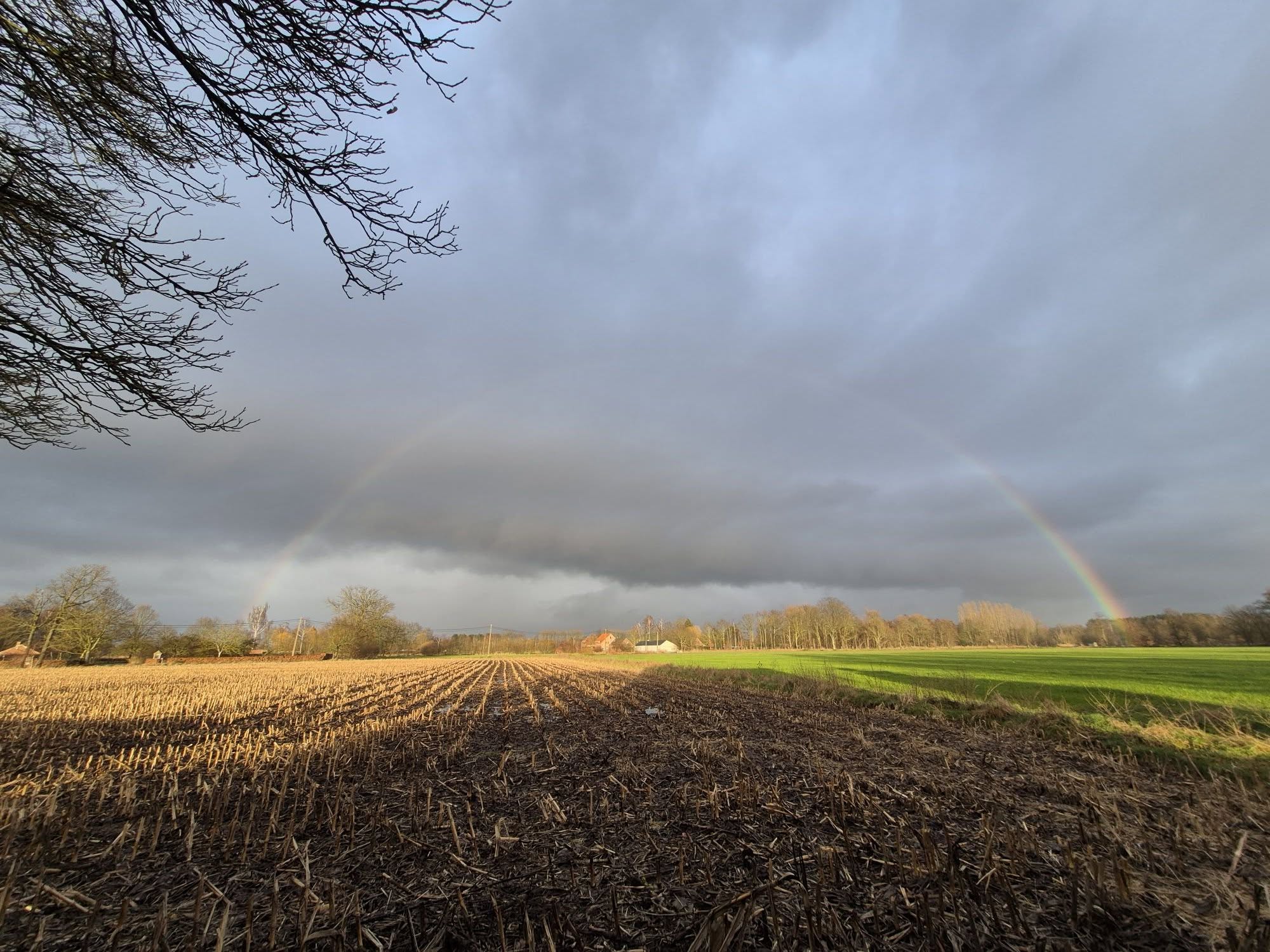 Weerman Samuel: "Dan halen we tot 17°C"