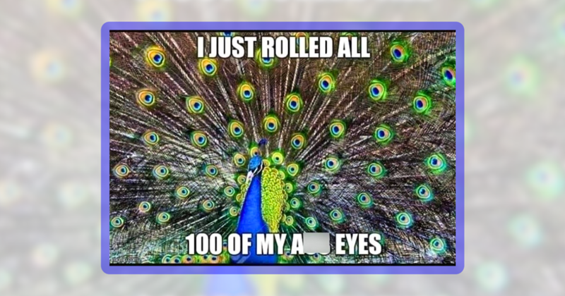 30 animal memes to celebrate absolutely nothing and everything