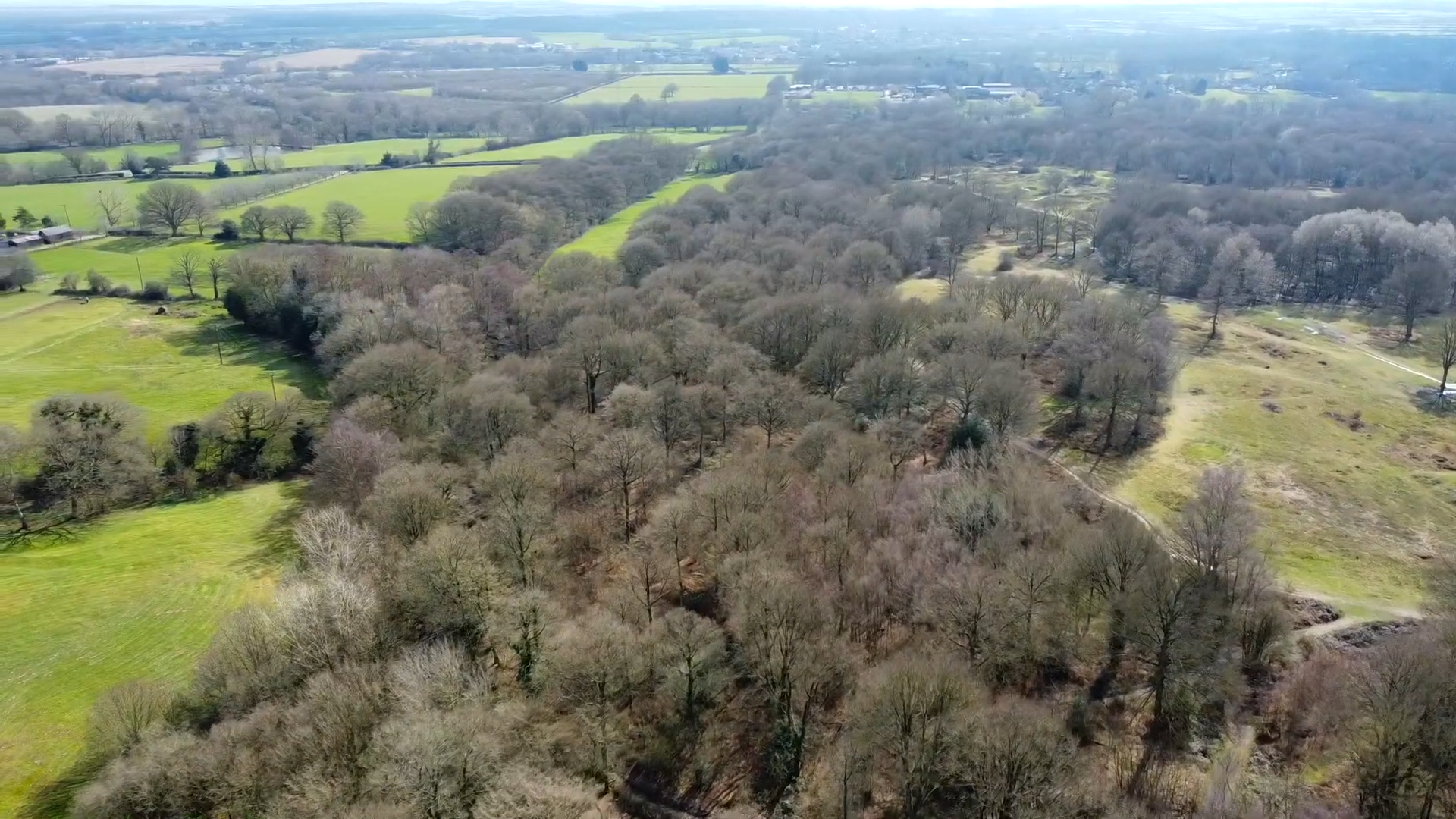 Spring in Essex looks peaceful – until you listen closely