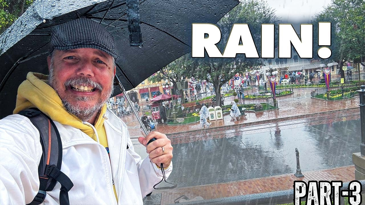 Miserable rain at Disneyland | State of Disneyland part 3