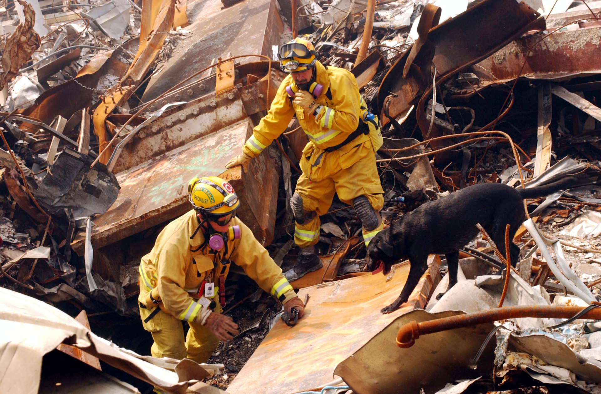 How 9/11 continues to claim lives