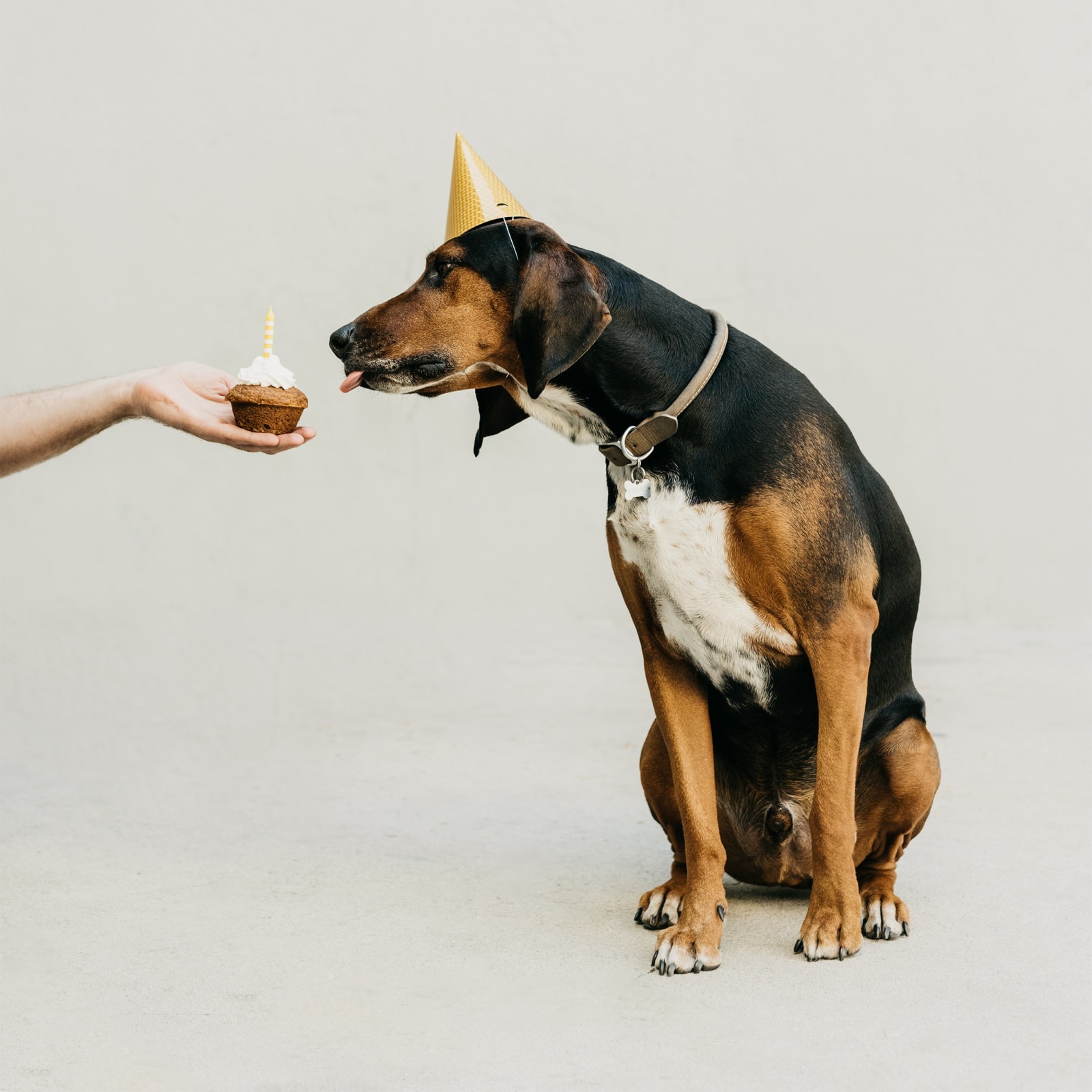 March issue: Caring for our pets