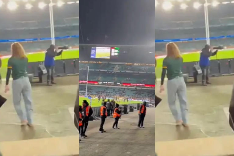 Women in male fields: Springboks pitch invasion goes viral – watch