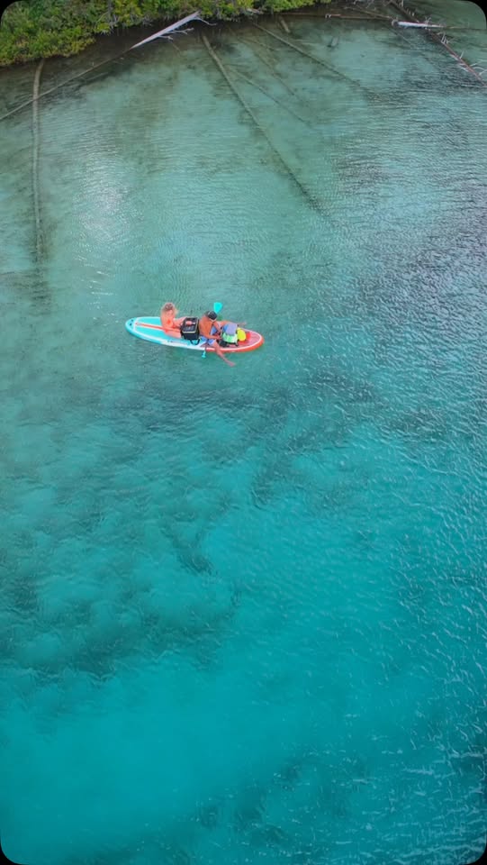 The paddle that changed everything