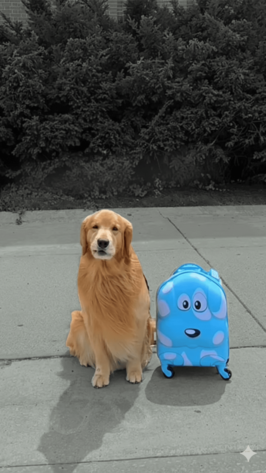 Moving out with my blue suitcase