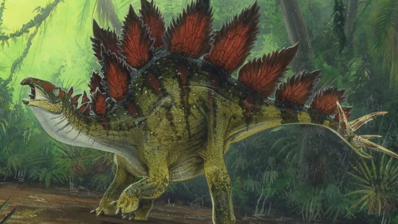 The age of dinosaurs - what we know and what we do not