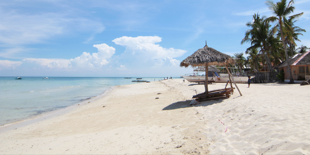 ₱1.9-M booking platform to shield Cebu tourists from scams
