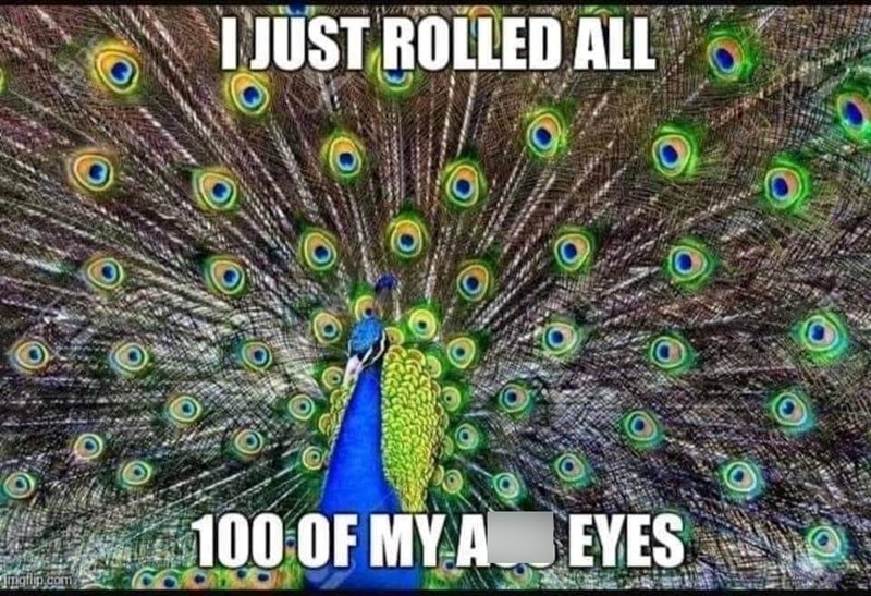 30 animal memes to celebrate absolutely nothing and everything