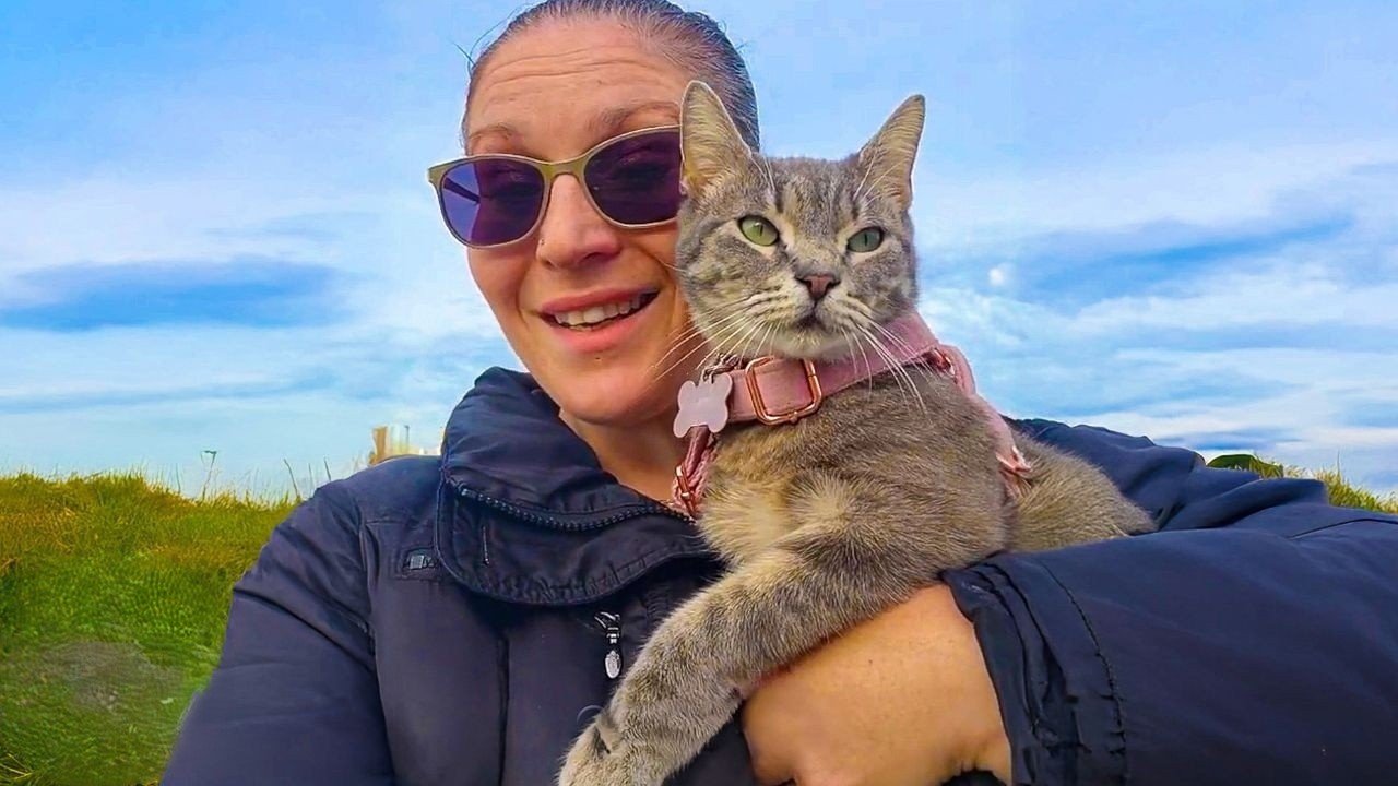 Cat jumped into her car and refused to be left behind... he chose his mom
