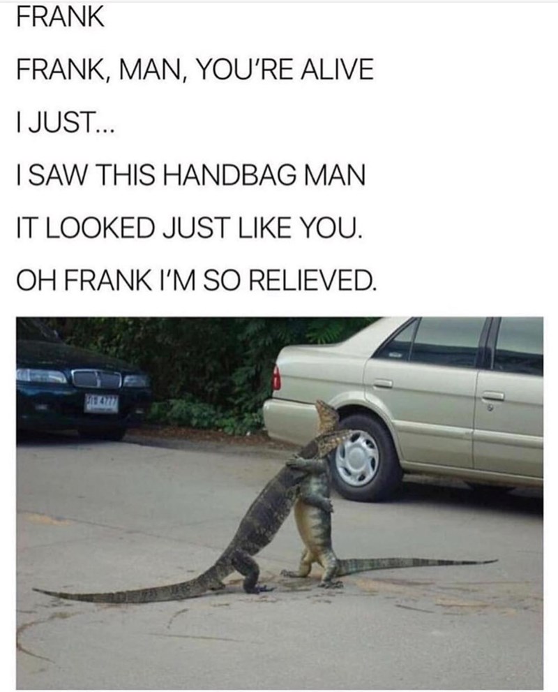 30 animal memes to celebrate absolutely nothing and everything