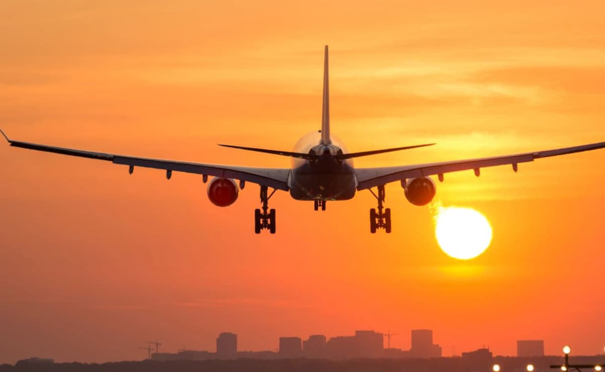 What is Navitaire, and why a glitch grounded flights across India?