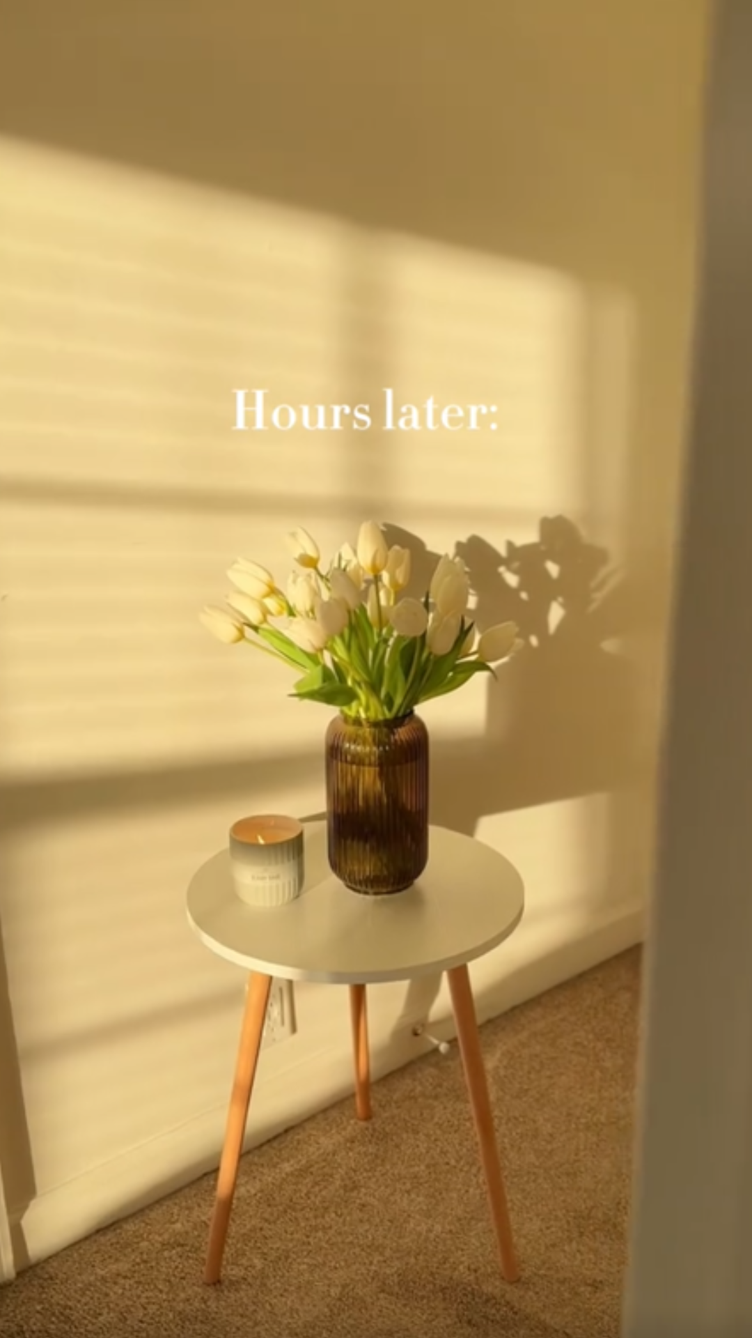 Tulip hack you need to try: how pennies keep them standing tall