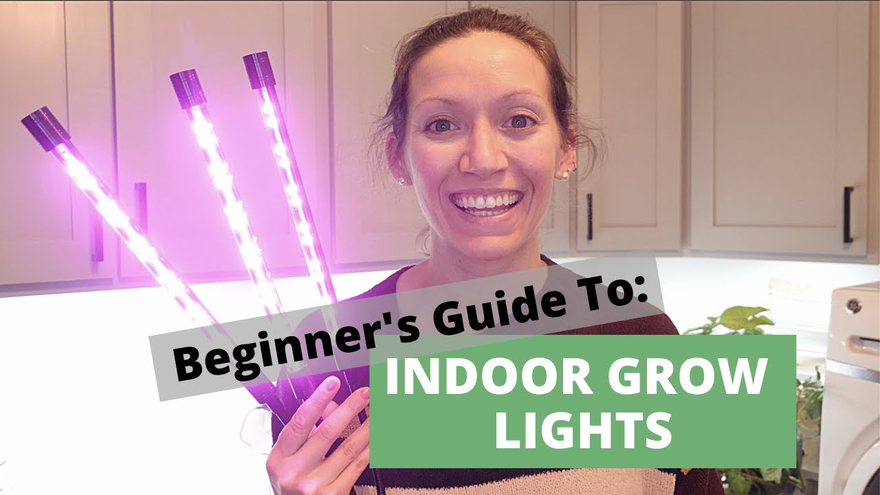 Start seedlings indoors with high performance grow light setups