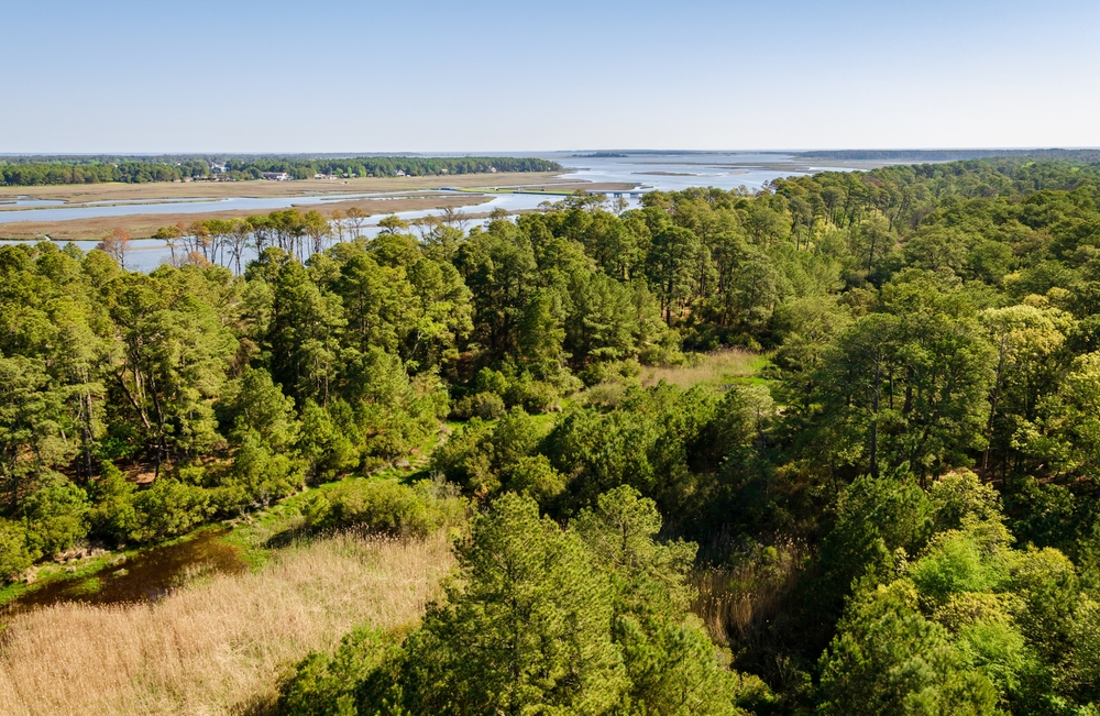 17 US wildlife refuges that make summer feel like a nature field trip