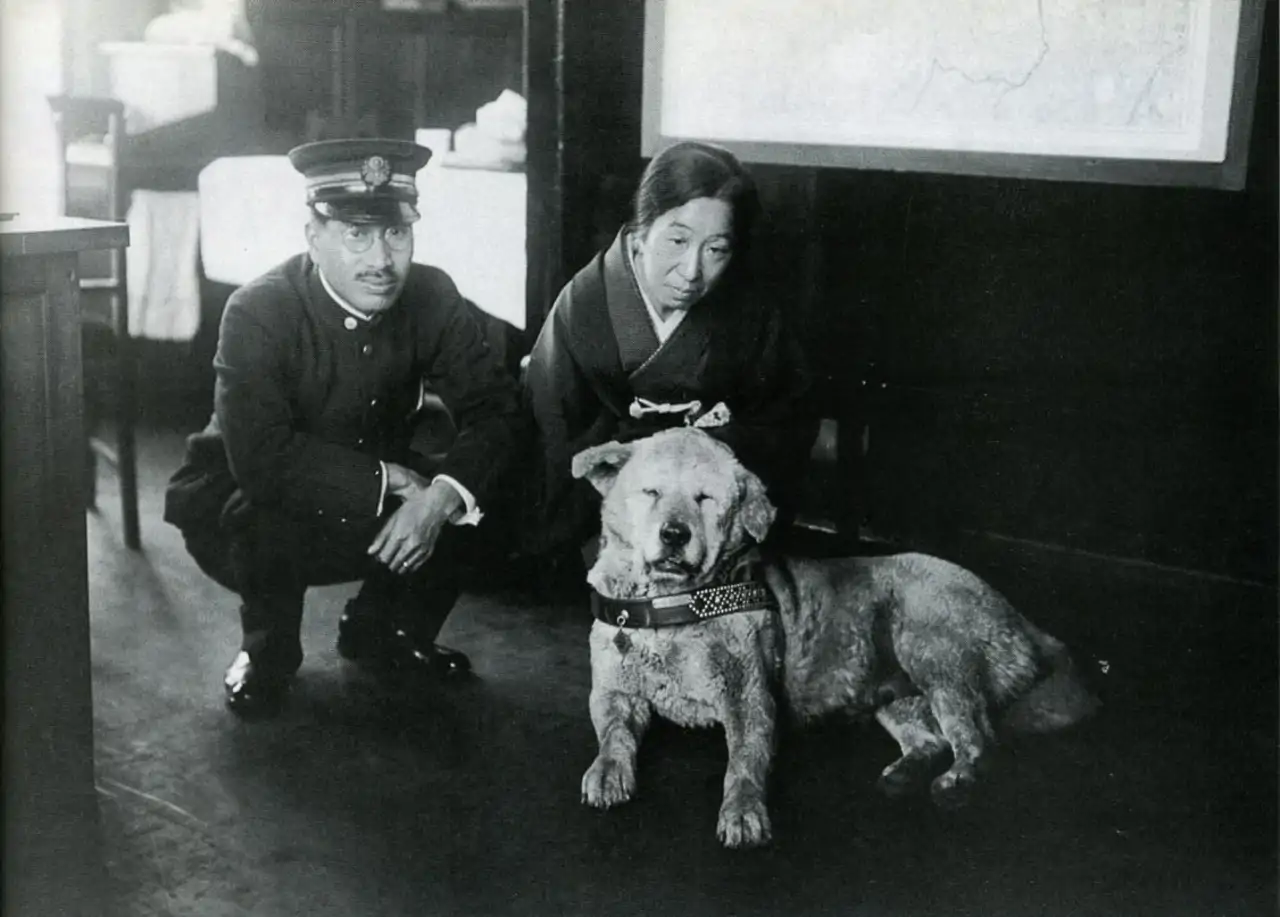 Hachiko: el perro más querido de Japón que inspiró una película