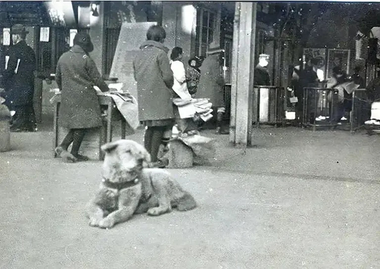 Hachiko: el perro más querido de Japón que inspiró una película
