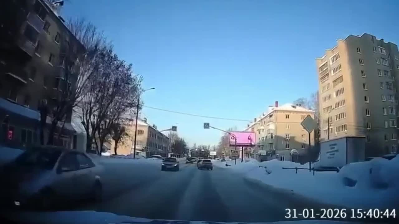 Clever dog patiently crosses street at crosswalk in Noginsk, Russia