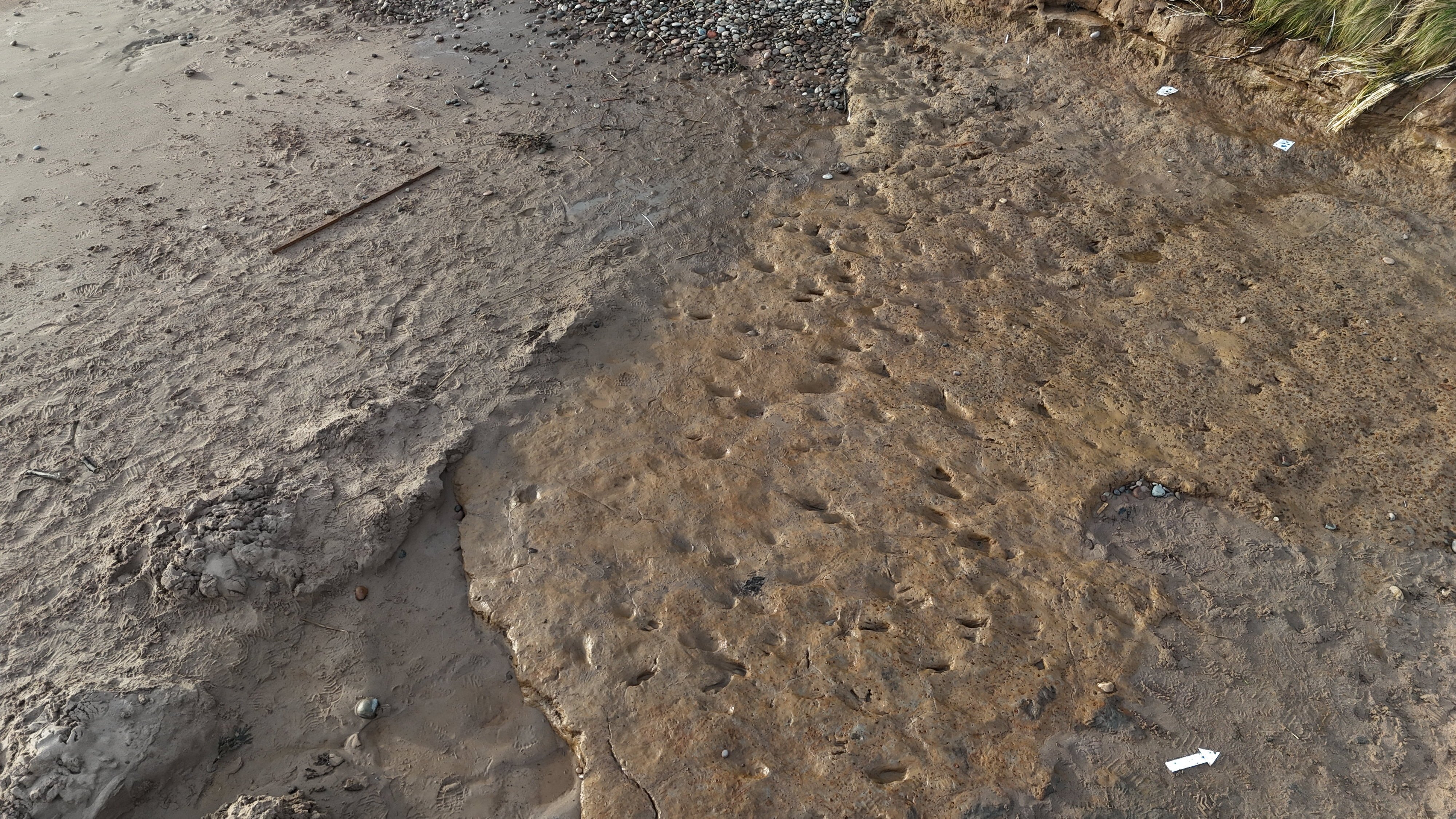 Storms reveal rare 2,000-year-old footprints on Scottish beach