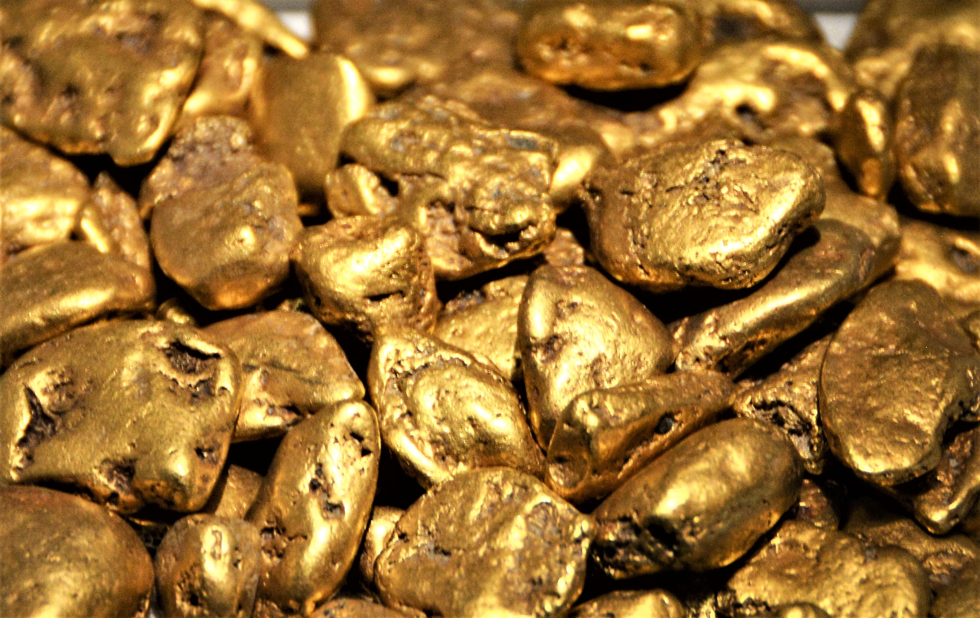 Facts about the gold rush they didn’t teach in school